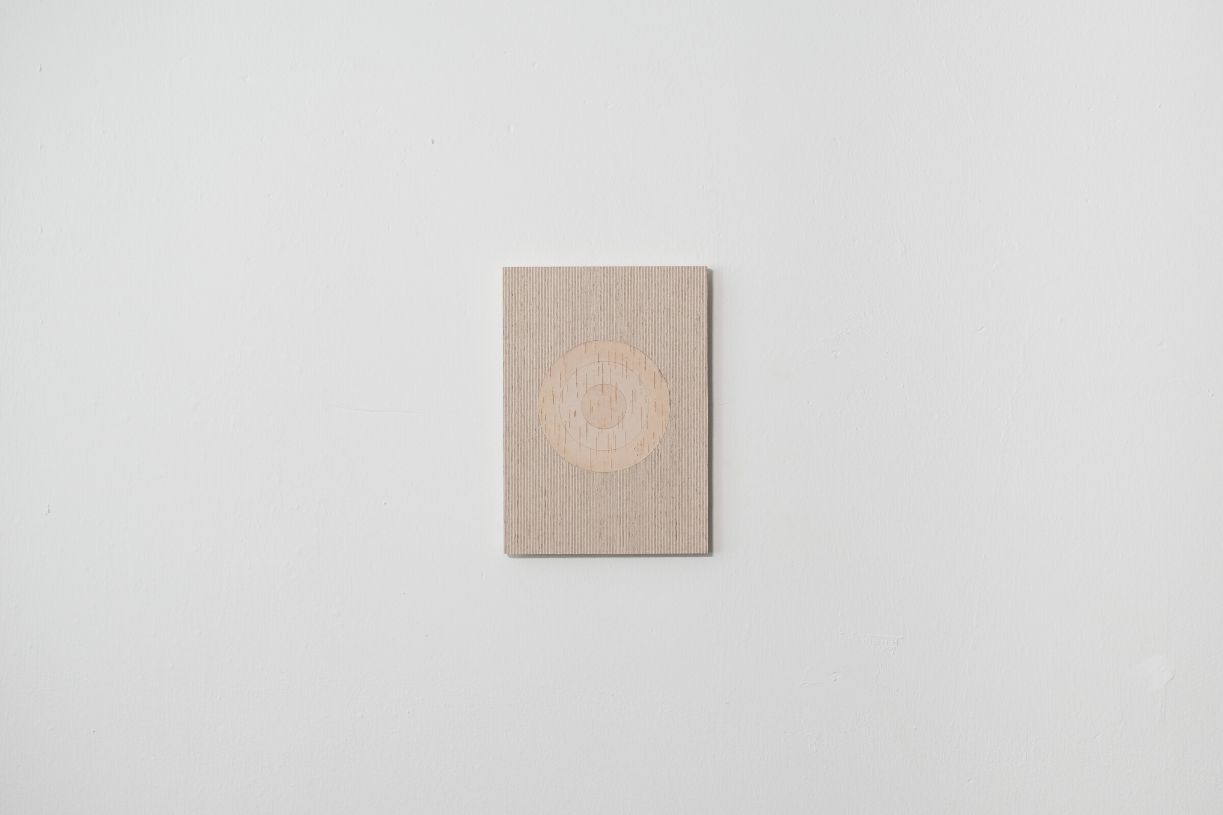 birch fragmented – circular – MARTIN BINDER