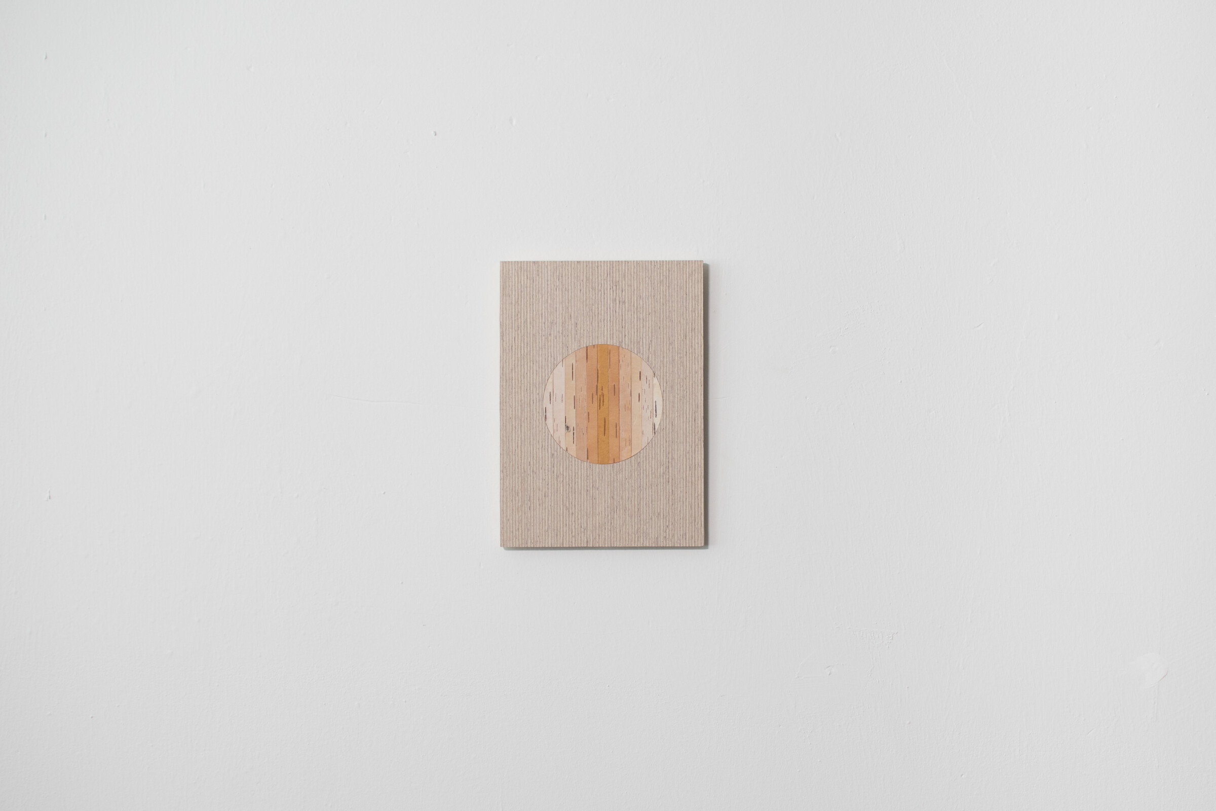 gradient birch – MARTIN BINDER