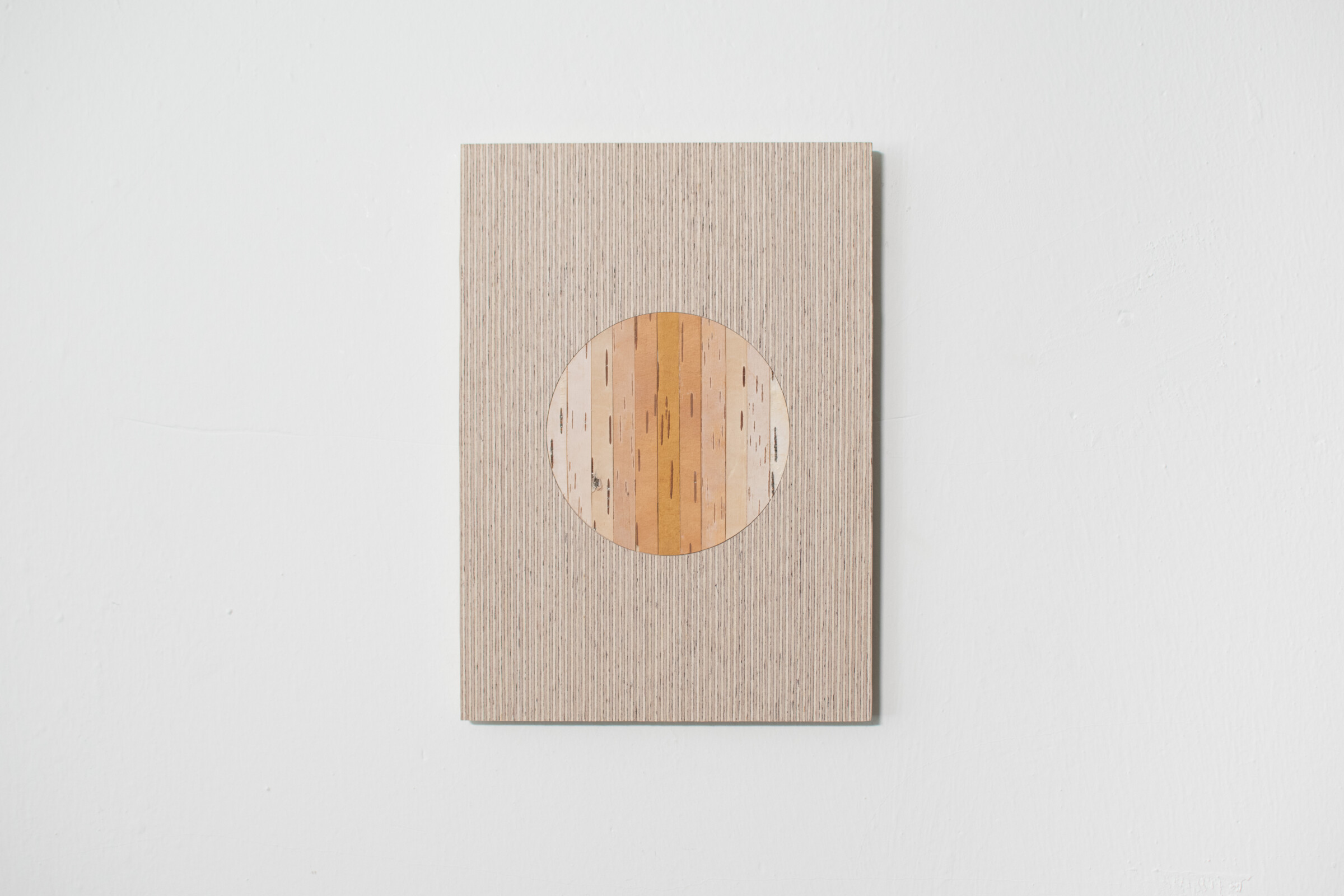 gradient birch – MARTIN BINDER